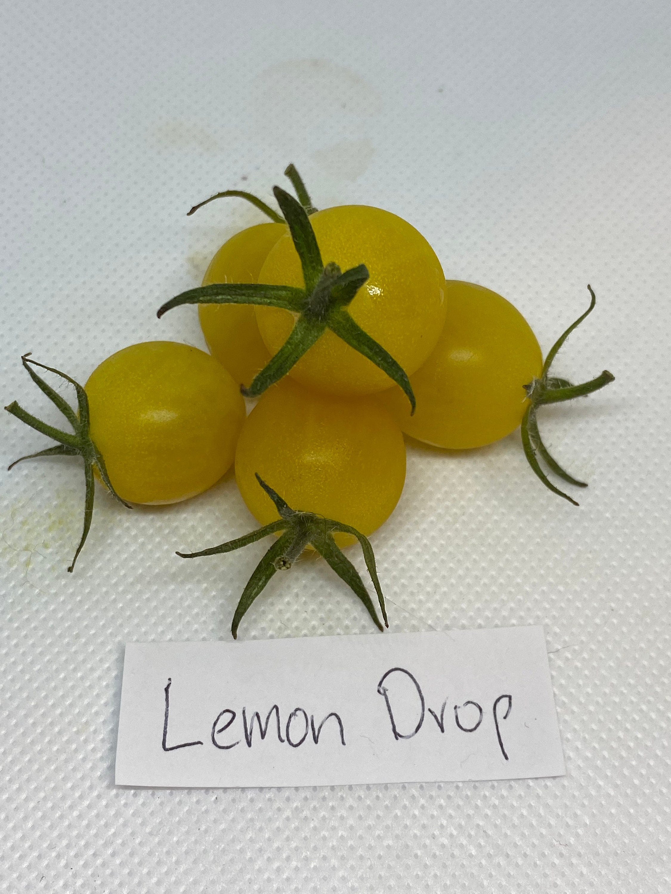 Heirloom Cherry Tomato Lemon Drop 40 Seeds | Etsy