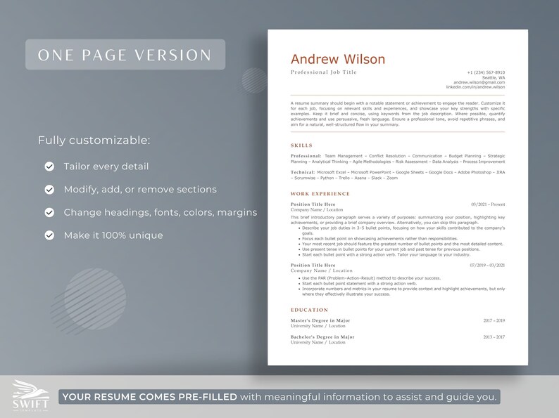 Professional ATS Friendly Resume Template for Word & Google Docs ...