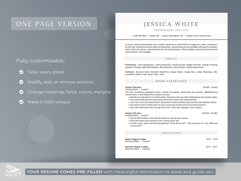 ATS Friendly Resume for Google Docs and Word, Traditional Professional ...