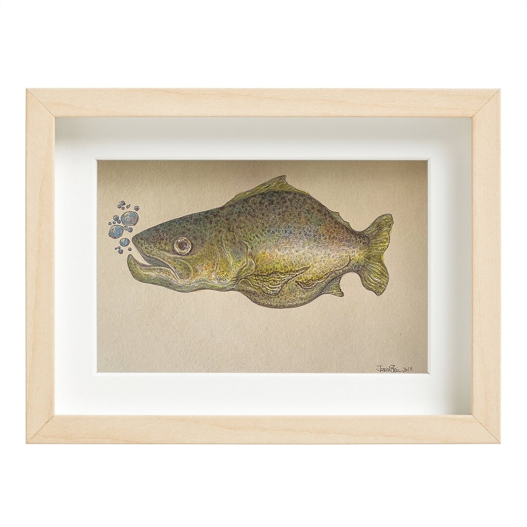 Potentially Pregnant Fish - Signed Original Watercolour Artwork ...