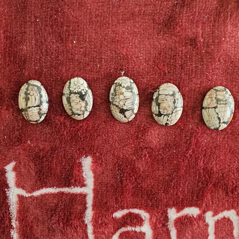 Snakeskin Agate - Etsy