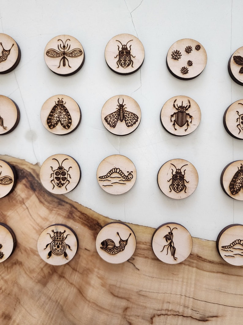 Bug Memory Game, SVG Download, Educational Kids Games, Kids Learning ...