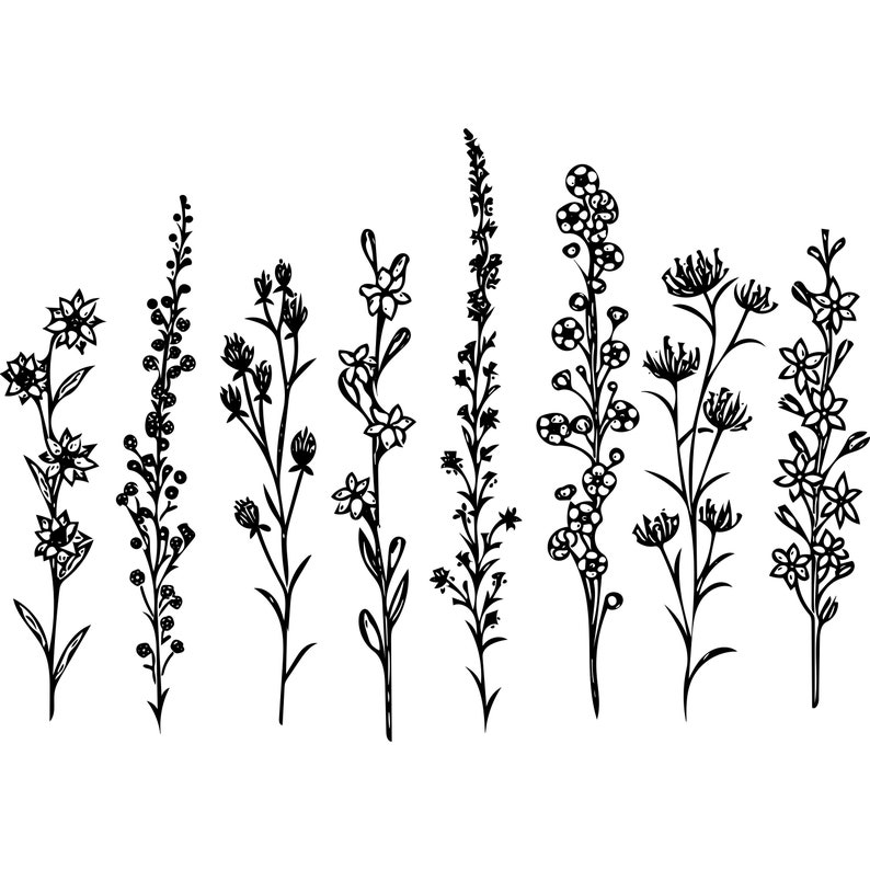 Clip Art Bundle, Floral Clip Art, SVG PNG Files, Leaves, Branches ...