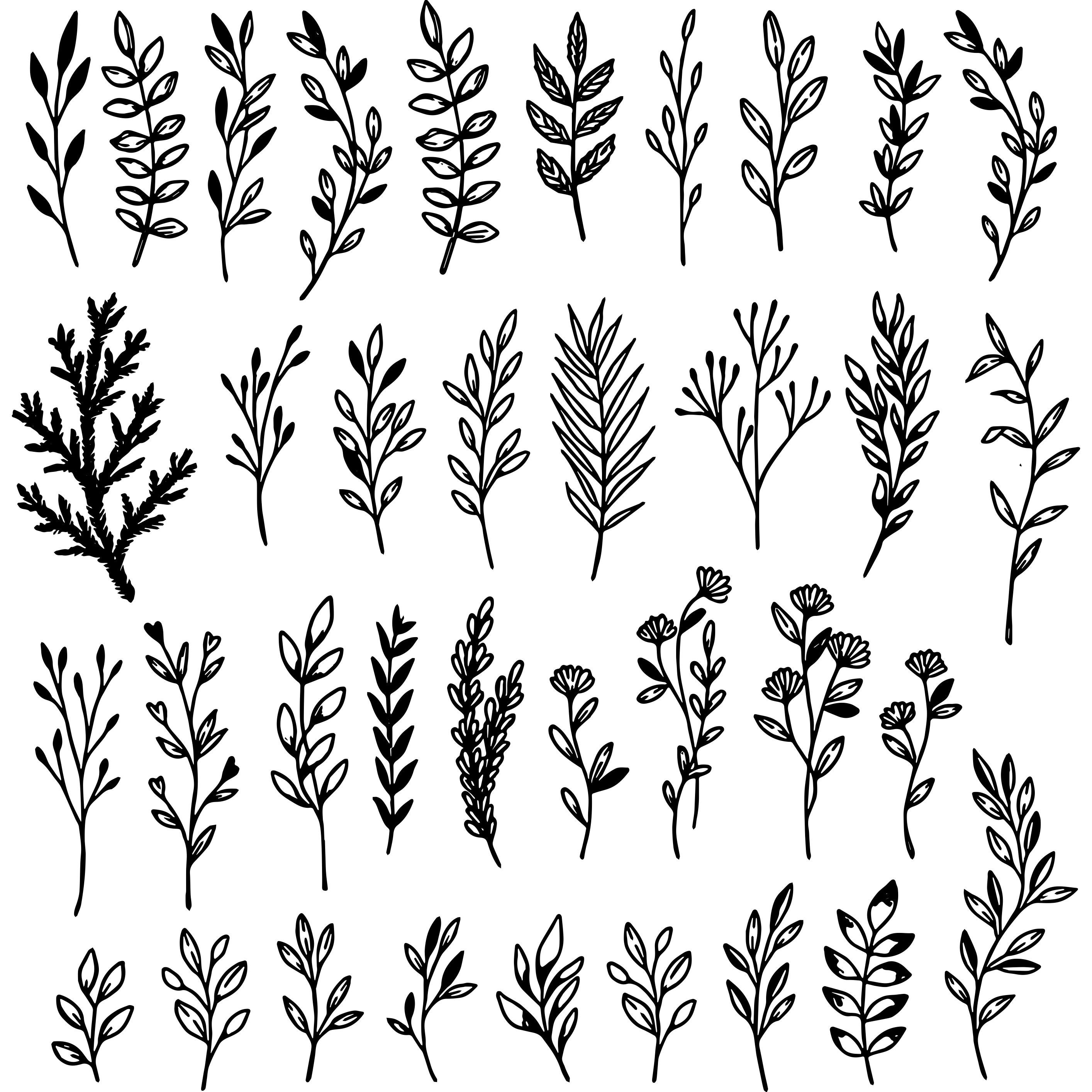 Clip Art Bundle, Floral Clip Art, SVG PNG Files, Leaves, Branches ...