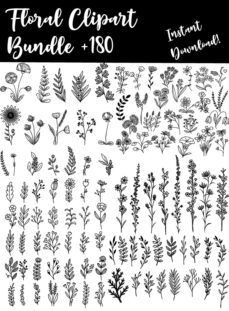 Clip Art Bundle, Floral Clip Art, SVG PNG Files, Leaves, Branches ...