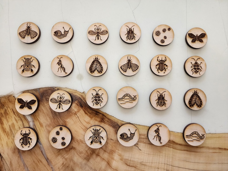 Bug Memory Game, SVG Download, Educational Kids Games, Kids Learning ...