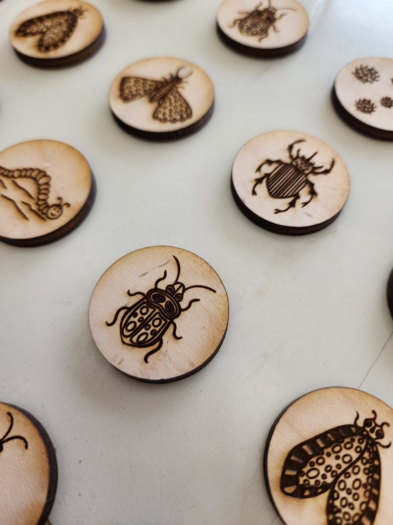 Bug Memory Game, SVG Download, Educational Kids Games, Kids Learning ...