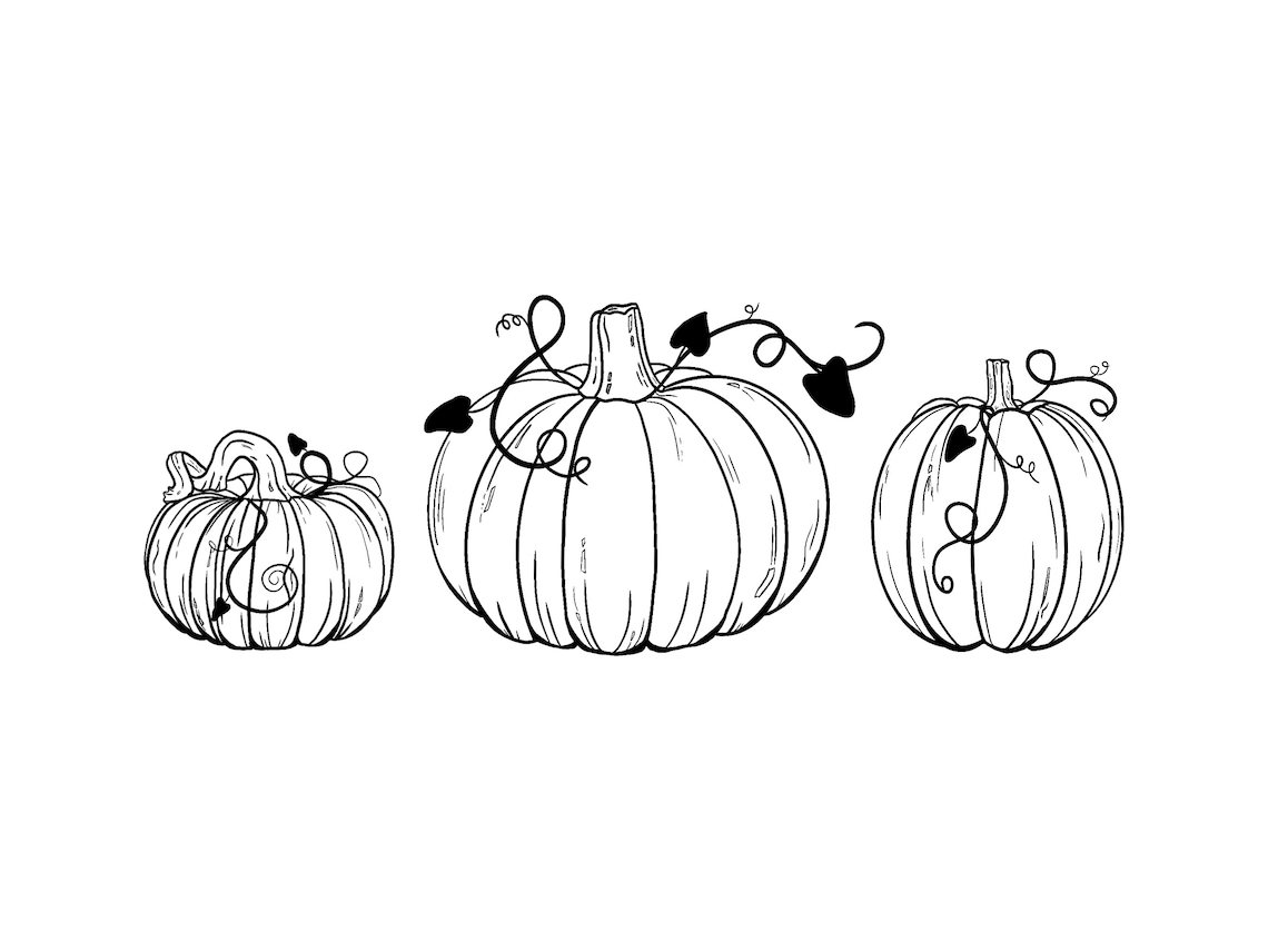 Pumpkin Clip Art SVG Halloween File, Pumpkin Drawings Vector File, Fall ...