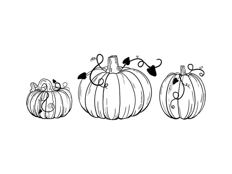 Pumpkin Clip Art SVG Halloween File, Pumpkin Drawings Vector File, Fall ...