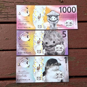 BUILD YOUR OWN Cash Placeholders Bundle Australian Prop Money Banknote ...