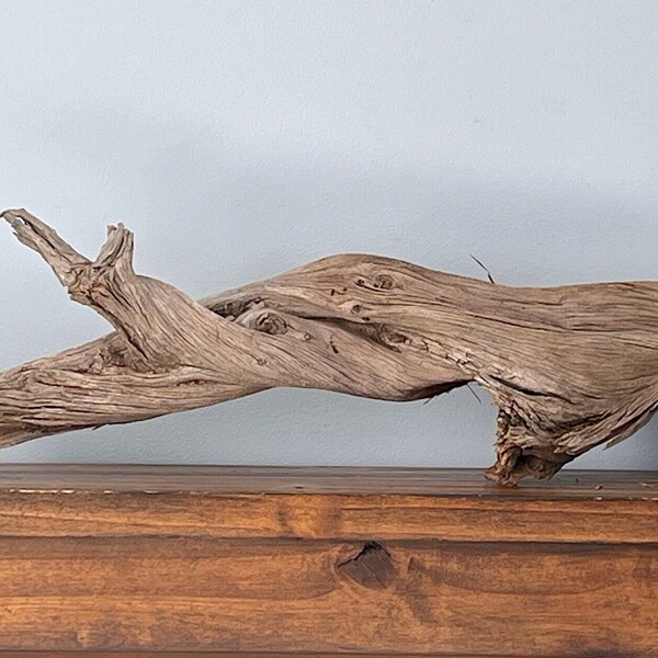 Juniper Home Decor - Etsy