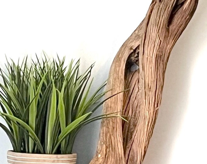 Juniper Deadwood Tree Branch, Rustic Branch Decor, Bonsai Wood, 22 ...