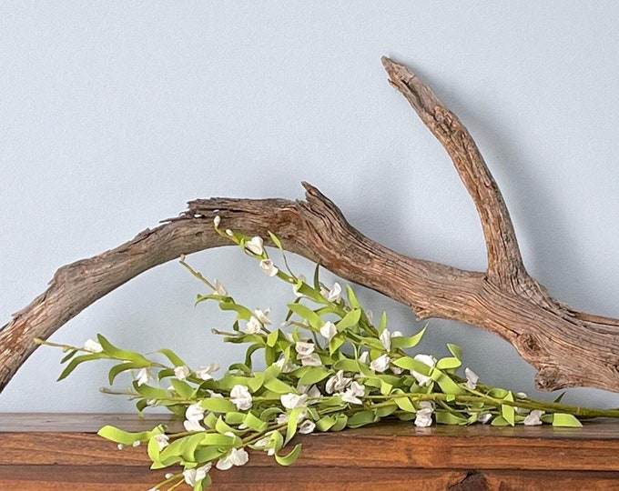 Twisted Juniper Deadwood Tree Branch, Rustic Branch Decor, Bonsai Wood ...