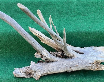 Driftwood for Reptiles, Bearded Dragon Accessories, Turtle Tank Decor ...