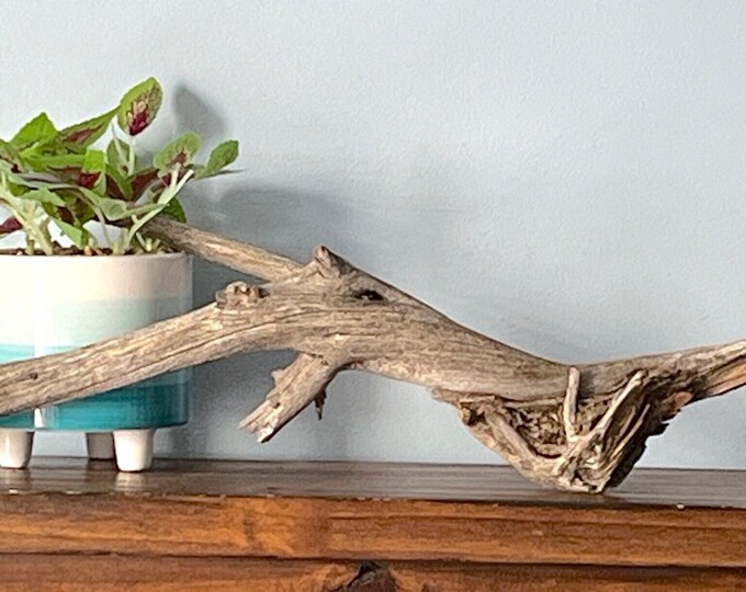 Juniper Deadwood Tree Branch, Rustic Branch Decor, Twisted Wood, Bonsai ...