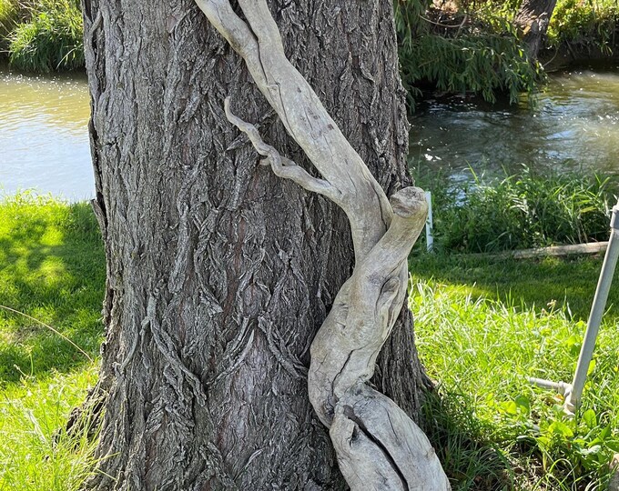 Extra Large Driftwood Branch for Outdoor Decor, 51" Tree Limb, Long ...