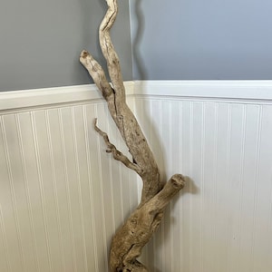 Extra Large Driftwood Branch for Outdoor Decor, 51 Tree Limb, Long ...
