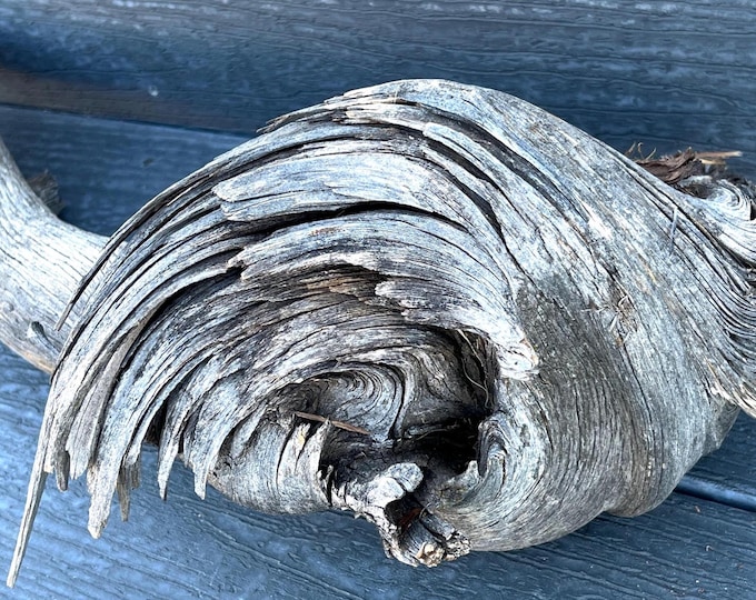 Twisted Juniper Deadwood Tree Branch, Rustic Branch Decor, Bonsai Wood ...