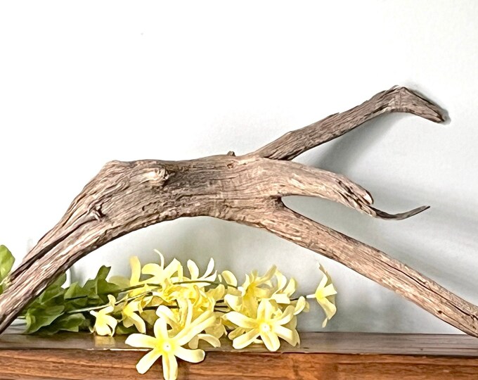 Large Twisted Wood Tree Branch, Juniper Deadwood, Rustic Branch Decor ...