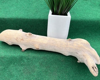 Driftwood Log for Reptile Tank Decor, Bearded Dragon Accessories ...