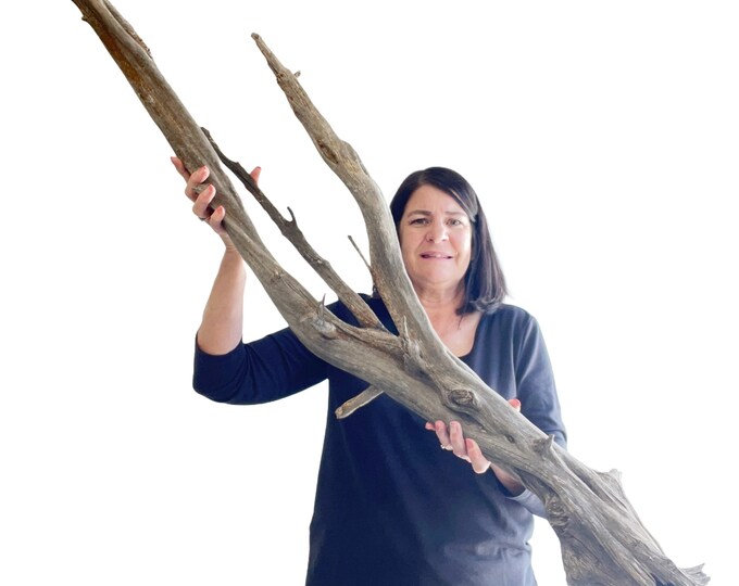 Extra Large Twisted Wood Tree Branch, Utah Juniper Deadwood, Rustic ...