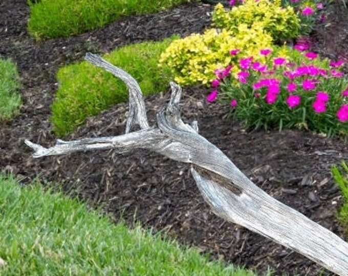 Twisted Juniper Deadwood Tree Branch, Rustic Branch Decor, Bonsai Wood ...