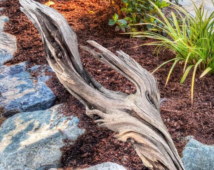 Juniper Deadwood Tree Branch for Outdoor Decor, Natural Twisted Wood ...