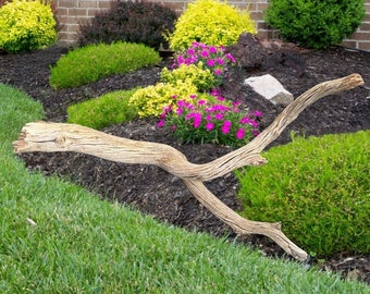 Large Twisted Wood Tree Branch, Juniper Deadwood, Rustic Branch Decor ...
