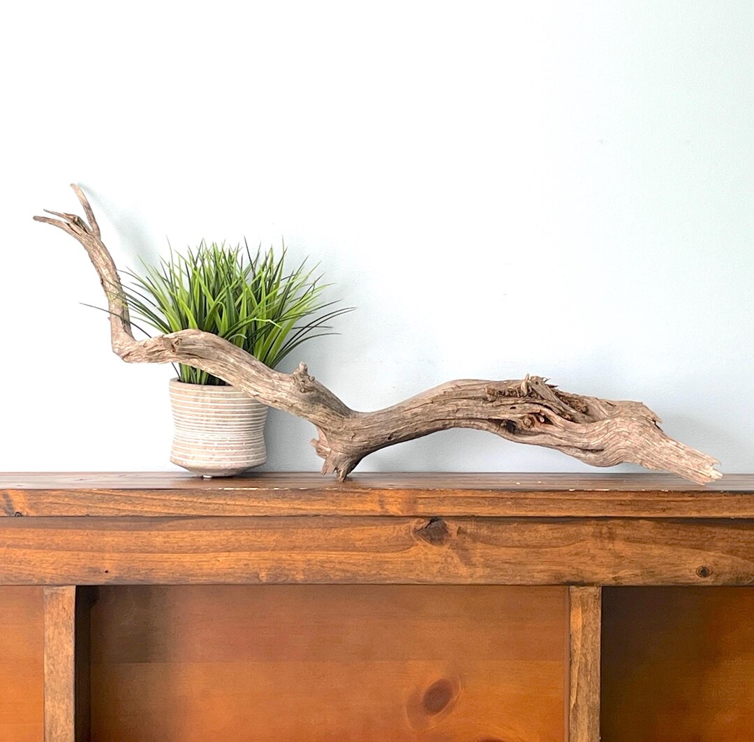 Juniper Deadwood Tree Branch for Rustic Decor, Twisted Wood for DIY ...