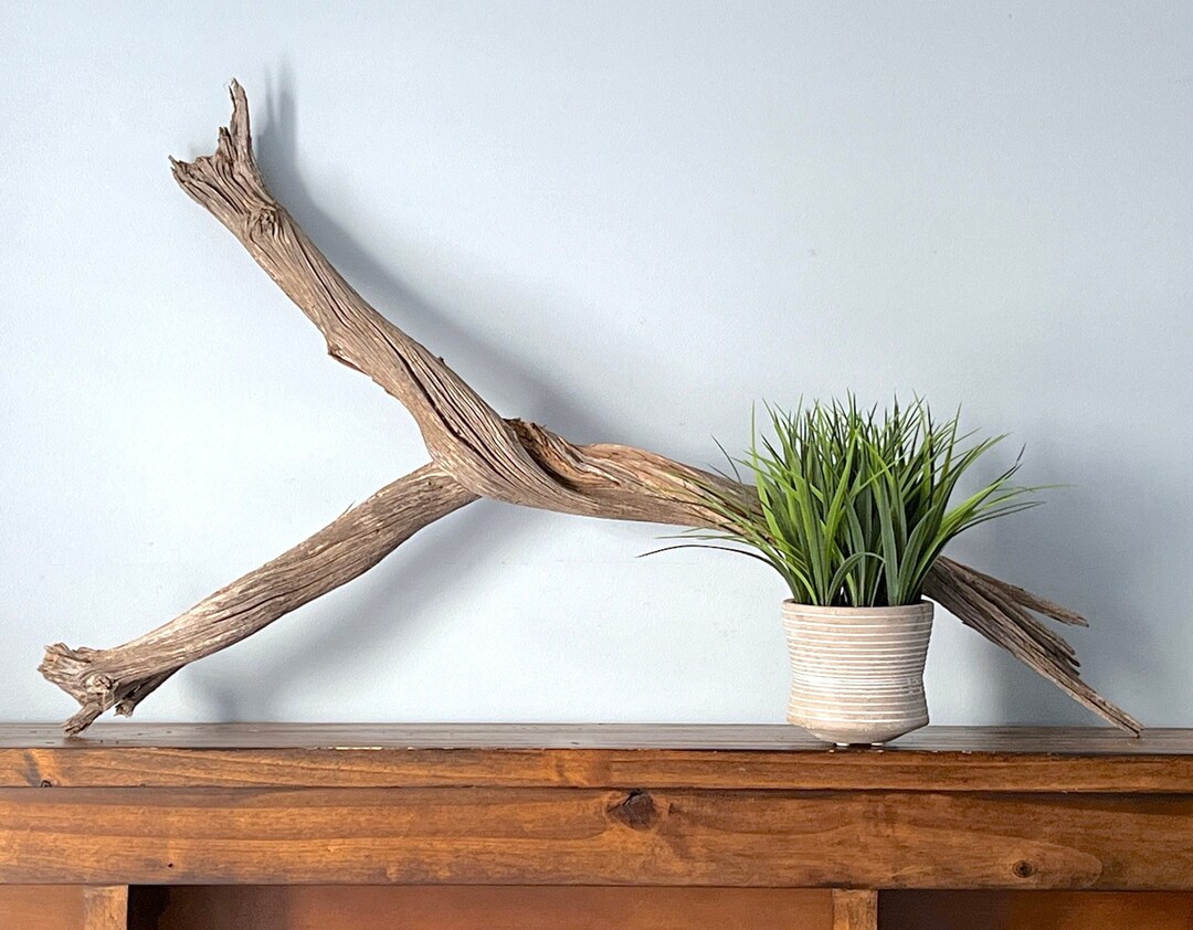 Juniper Deadwood Tree Branch, Rustic Branch Decor, Twisted Wood, 34 ...