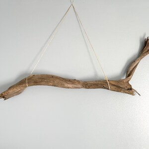 Twisted Wood Hanging Branch Decor, Juniper Deadwood, Tree Branch Wall ...