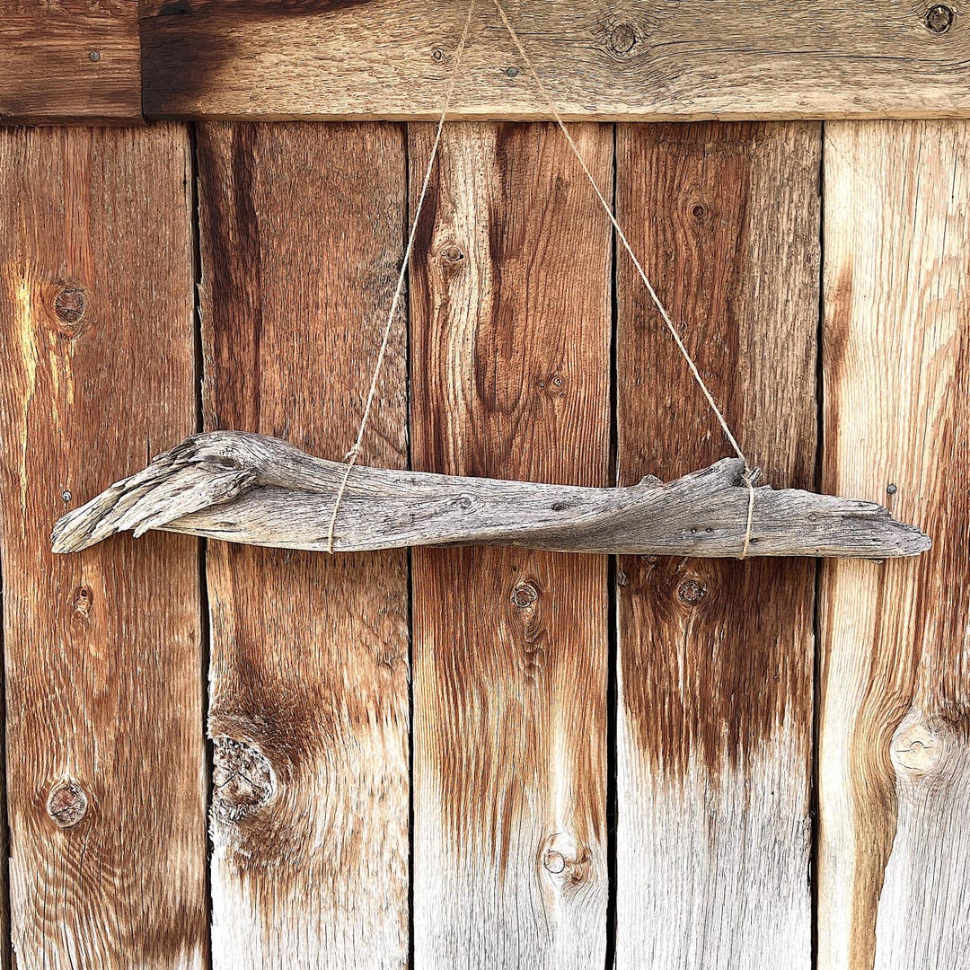 Twisted Wood Wall Art, 25" Juniper Deadwood Tree Branch, Utah Juniper ...