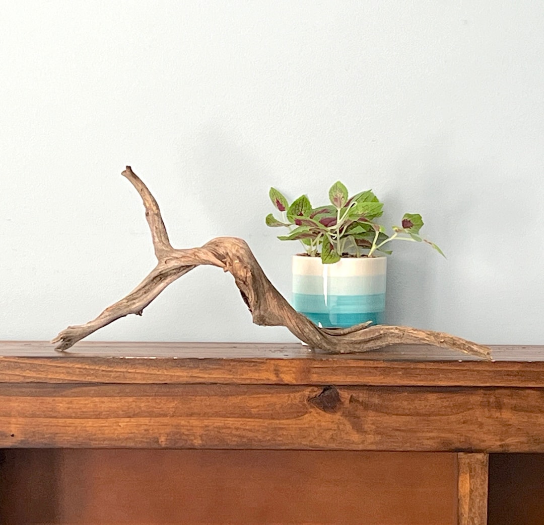 Juniper Deadwood Tree Branch for Rustic Decor Twisted Wood for DIY ...