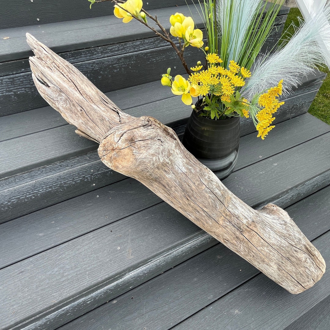 Extra Large Driftwood Log for Reptile Tank, Bearded Dragon Accessories ...