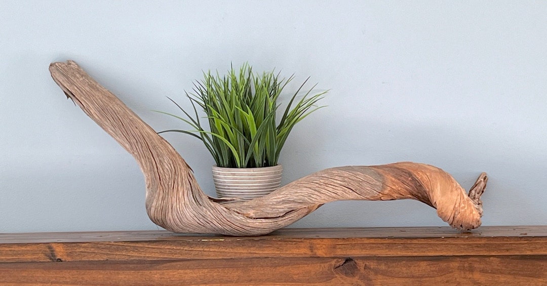 Juniper Deadwood, Rustic Branch Decor, Bonsai Wood, 28 Long Tree Branch ...