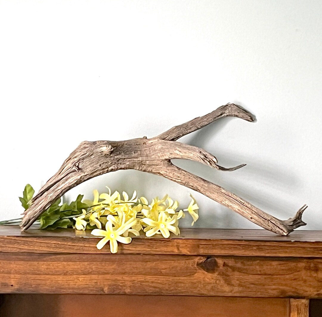 Twisted Wood Branch Decor, Juniper Deadwood Tree Branch, Juniper Dead ...