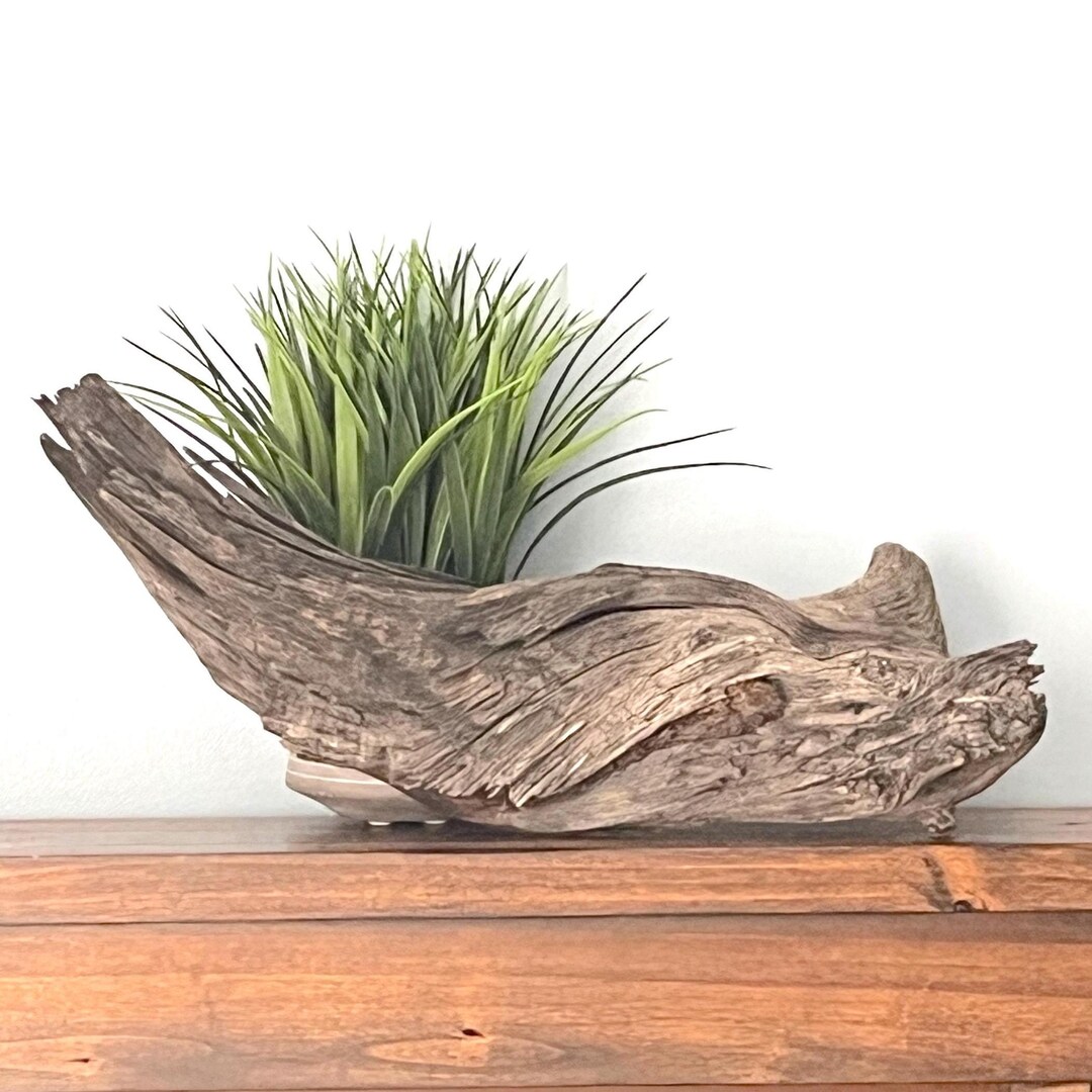 Twisted Juniper Deadwood Tree Branch, Rustic Branch Decor, Bonsai Wood ...