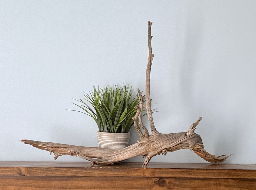 Juniper Deadwood, Rustic Branch Decor, Bonsai Wood, 27 Long Tree Branch ...