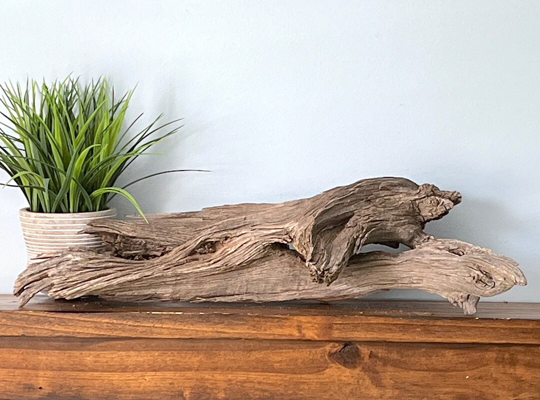 Juniper Deadwood Tree Branch for Rustic Mantle Decor, Wood for ...