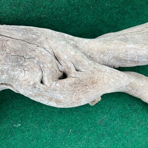 Extra Large Driftwood Branch for Outdoor Decor, 51 Tree Limb, Long ...