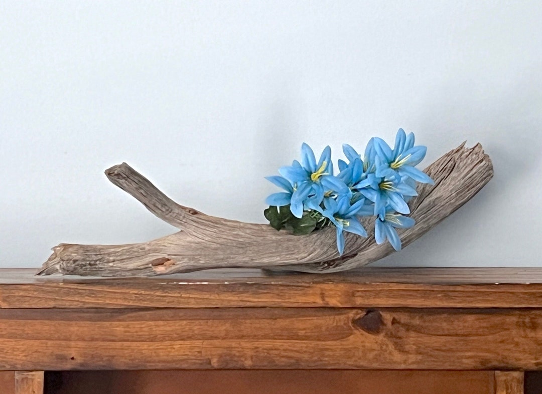 Juniper Deadwood Tree Branch, Twisted Wood Branch Decor, Juniper Dead ...