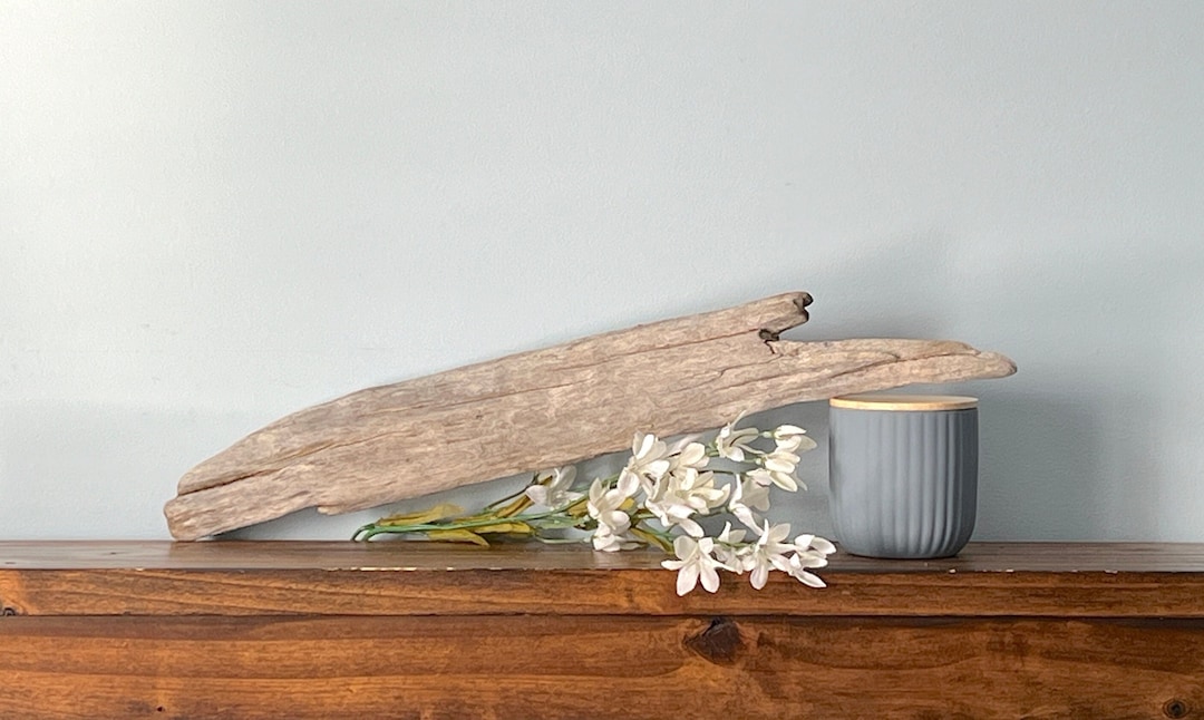 Driftwood Branch for Reptile Tank Decor, Bearded Dragon Accessories ...