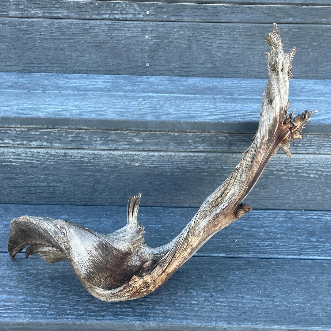 Large Twisted Wood Tree Branch, Utah Juniper Deadwood, Rustic Branch ...