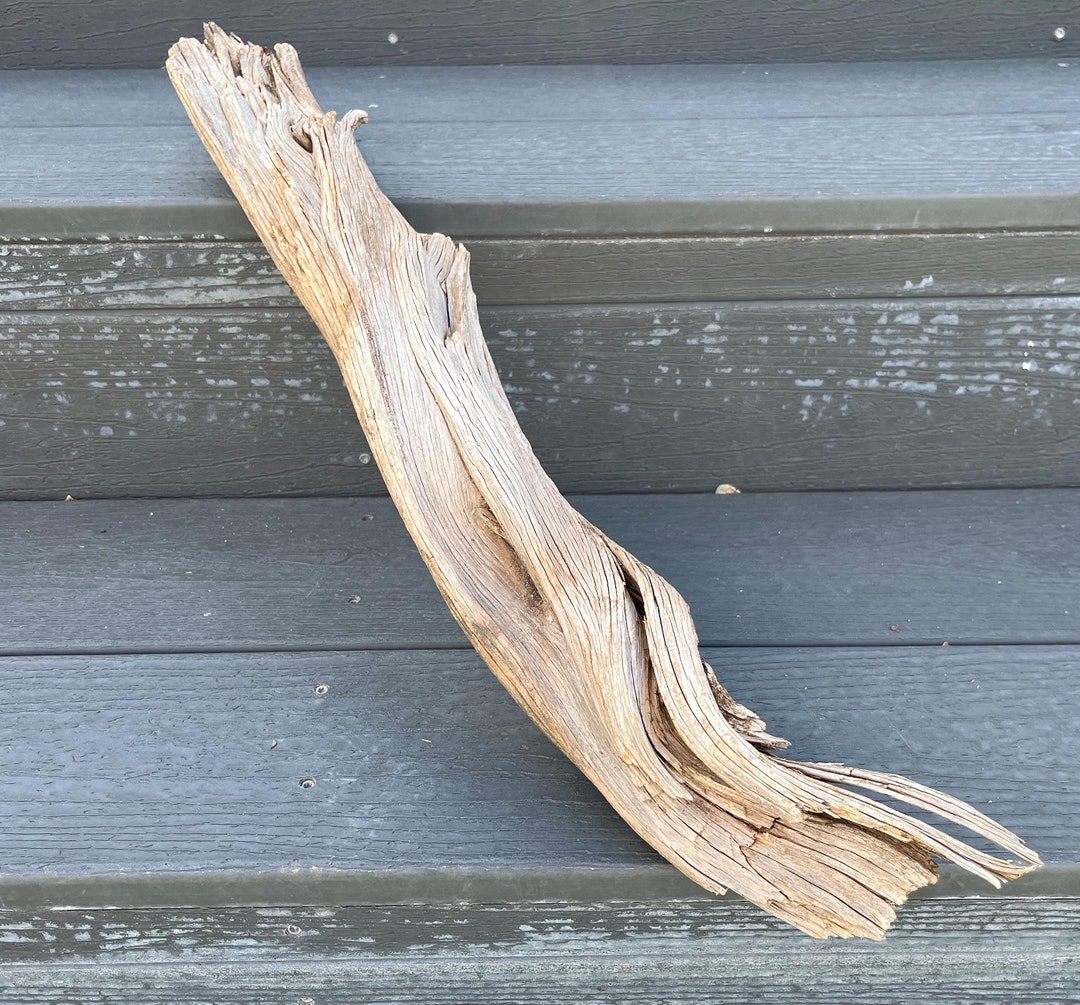 Juniper Deadwood Branch, Bonsai Wood, 23" Long Tree Branch, Twisted ...