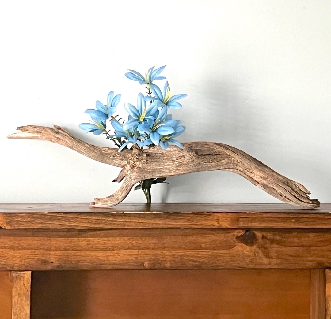 Juniper Deadwood Tree Branch, Rustic Southwest Branch Decor, Bonsai ...