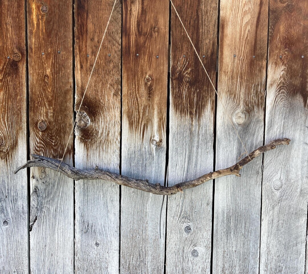 Twisted Wood Hanging Branch for Home Decor, Juniper Deadwood, Tree ...