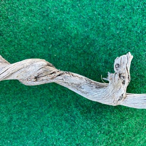 Juniper Deadwood Tree Branch for Rustic Wood Decor, Bonsai Wood ...