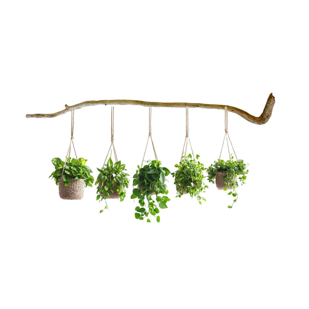 Driftwood Branch for Wall Hanging, 33" Tree Branch Decor, Light ...
