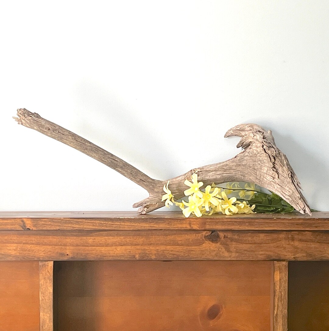 Juniper Deadwood Tree Branch for Rustic Decor, Twisted Wood, Bonsai ...
