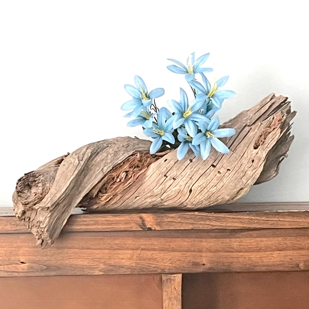 Twisted Juniper Deadwood Tree Branch, Utah Juniper Tree Wood Log ...